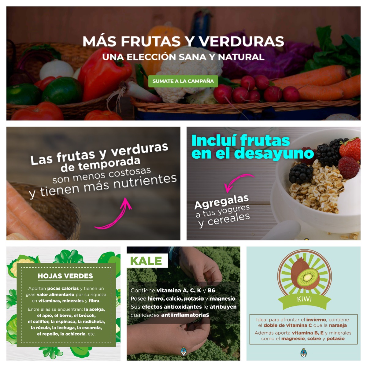 Inocuidad y Gestión Alimentaria | Aliar Gestiona
